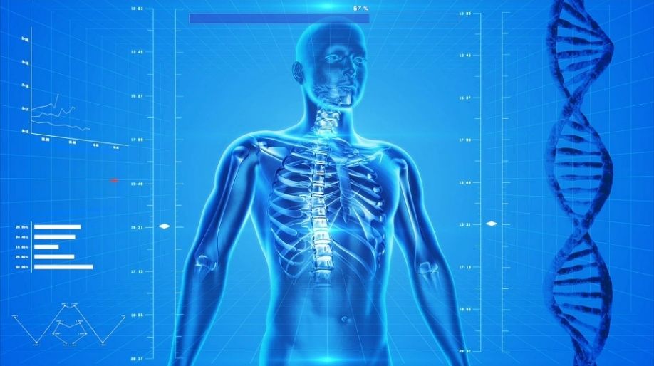 Human Body Lesson For Class 3